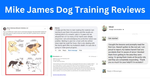 Mike James Dog Training Reviews: Experiences & Stories!
