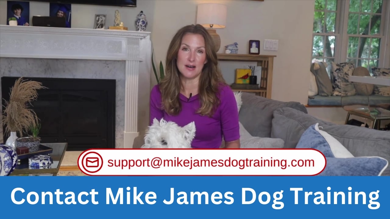Contact Us - Mike James Dog Training
