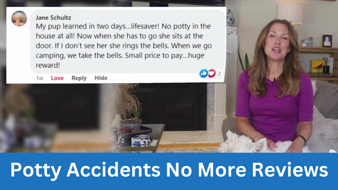 28 Potty Accidents No More Reviews & Complaints [Updated 2025]